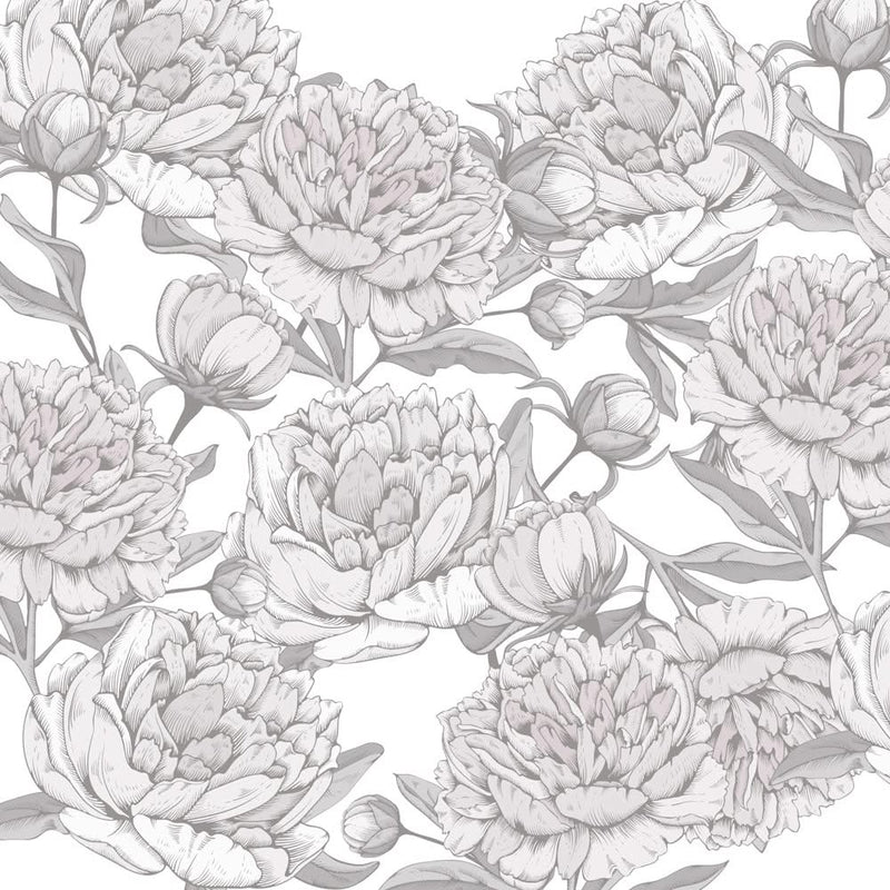 Tilly Graphic Floral illustration Wall Mural by Back to the Wall - Back ...