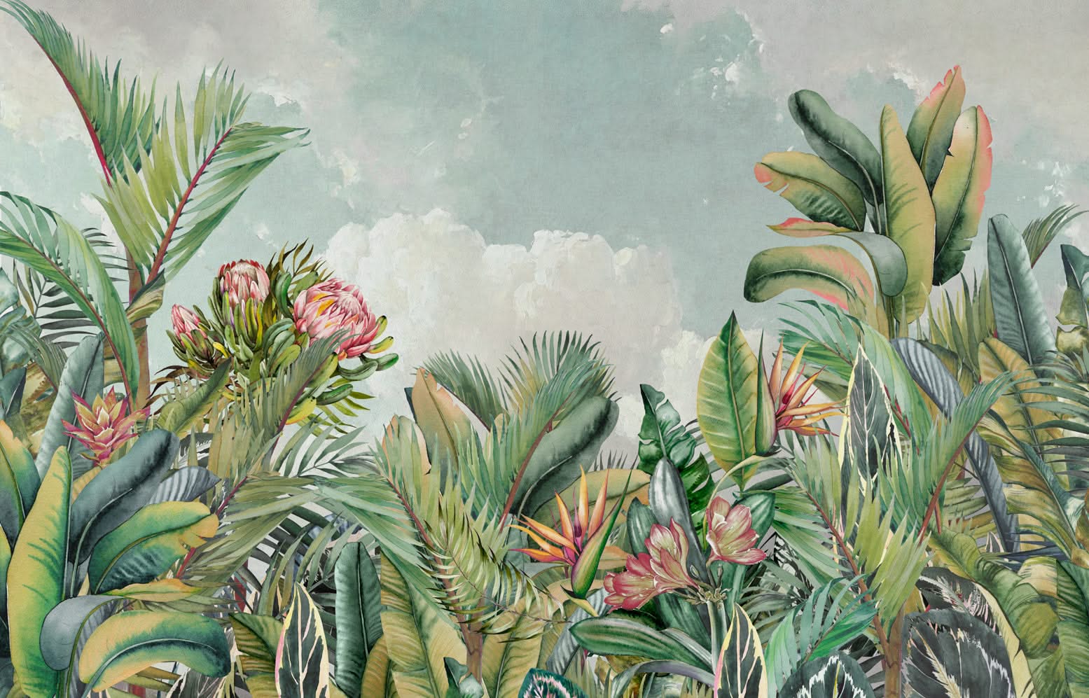 Tropic | Tropical foliage and floral Wall Mural by Back to the Wall ...