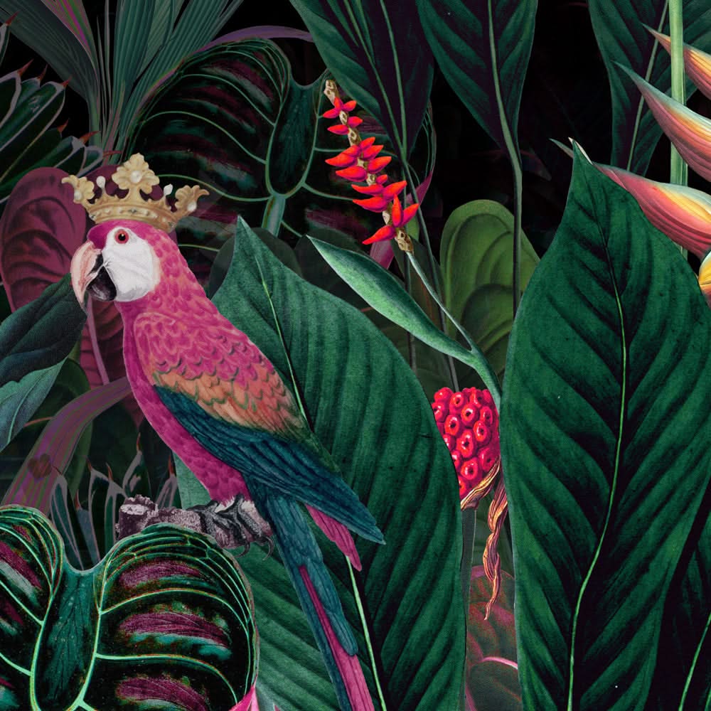 Royal Rainforest Wall Mural Wallpaper by Back to the Wall - Back To The ...